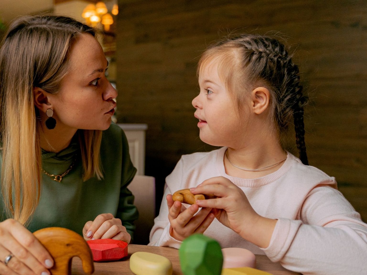 Recommendations for the education of Learners with Down Syndrome – Down ...